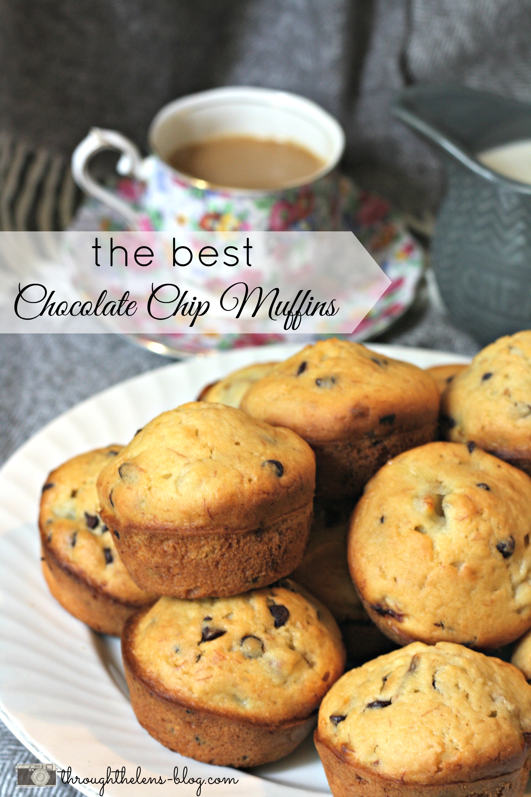 {the best} Chocolate Chip Muffins